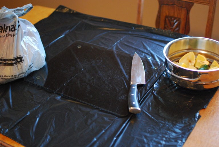 Placenta Encapsulation: A Tutorial - Red and Honey