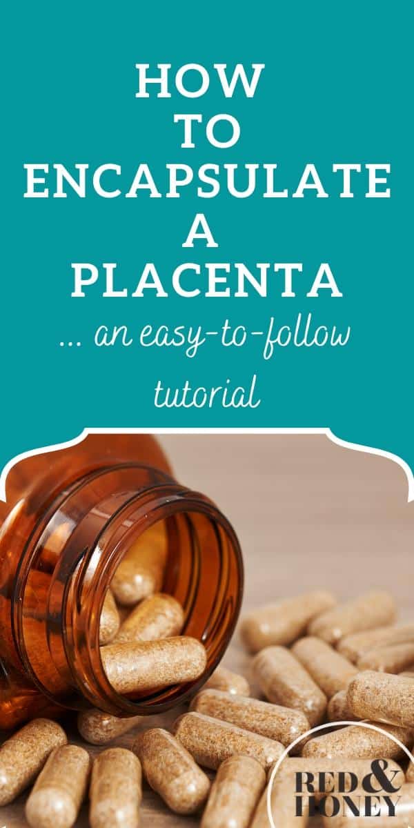 Placenta Encapsulation: A Tutorial - Red and Honey