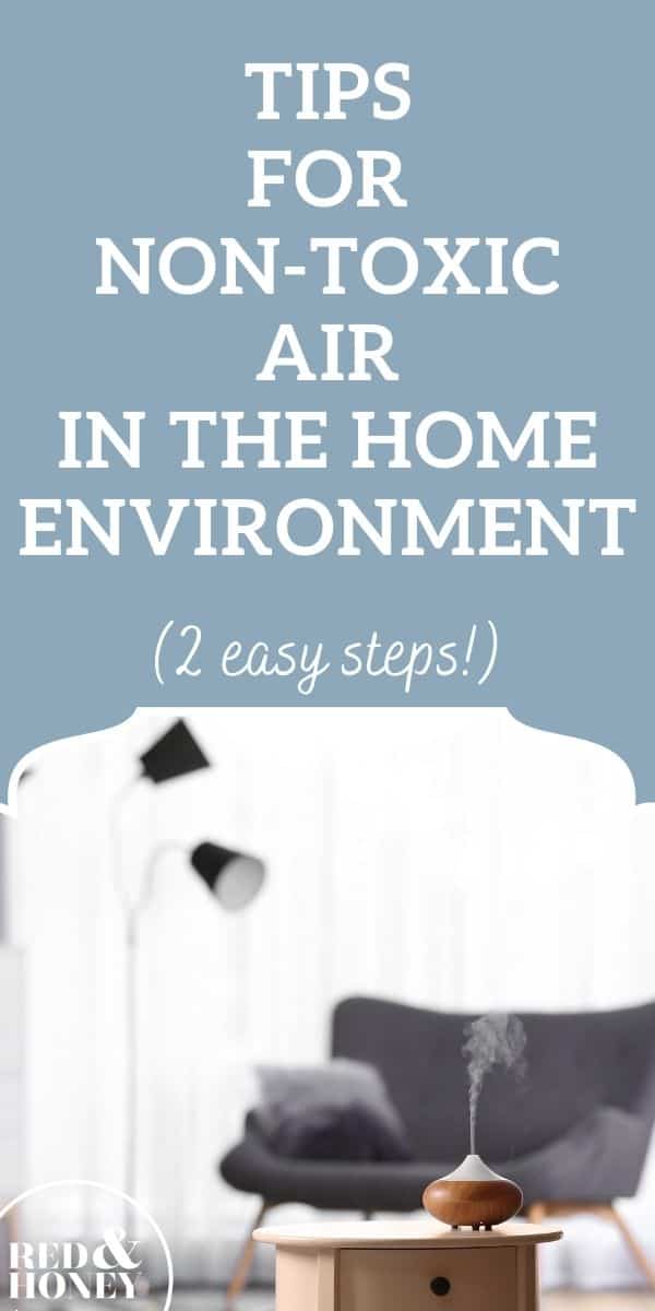 2 Easy Steps Purify Air Naturally in the Home Environment