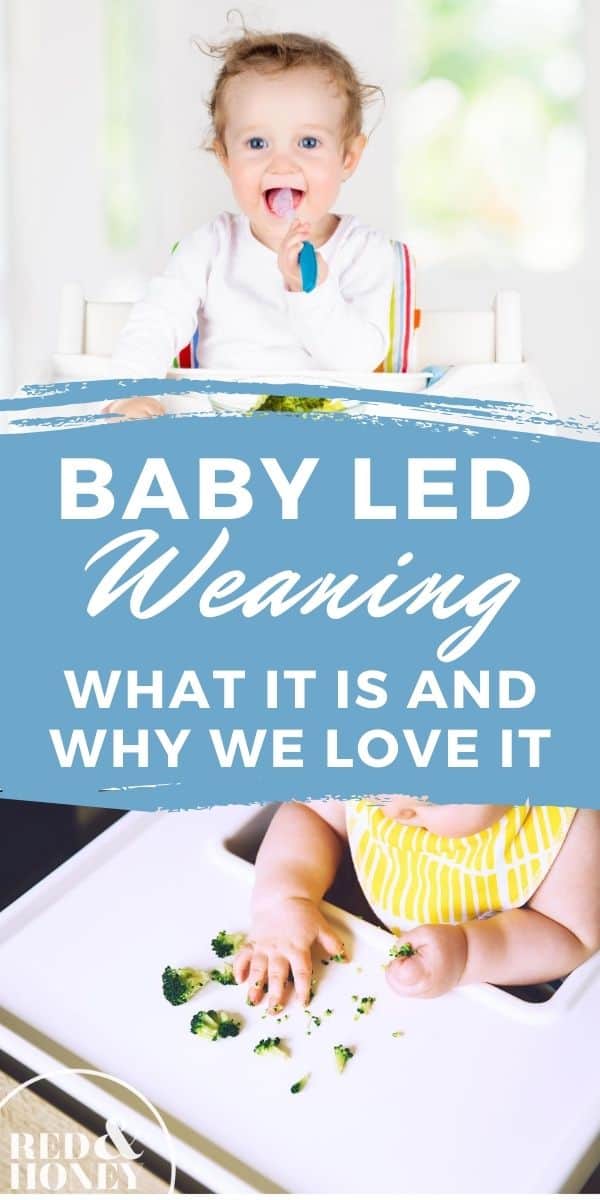 Baby-Led Weaning: What It Is and Why We Love It - Red and Honey
