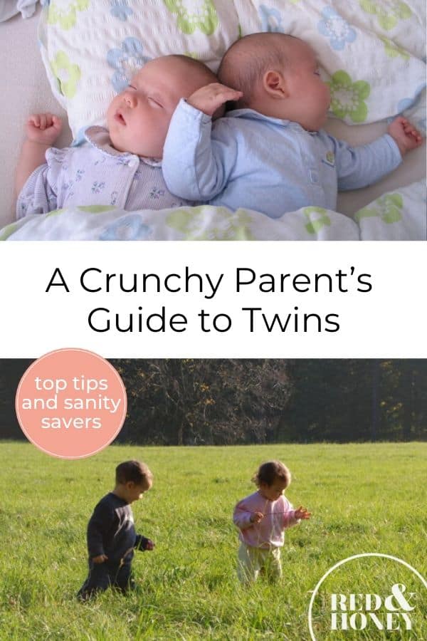 A Crunchy Parent's Guide to Twins - Red and Honey