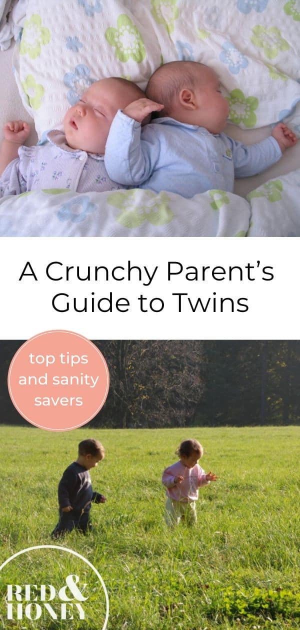A Crunchy Parent's Guide to Twins - Red and Honey