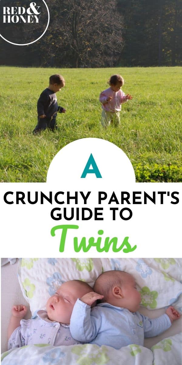 A Crunchy Parent's Guide to Twins - Red and Honey