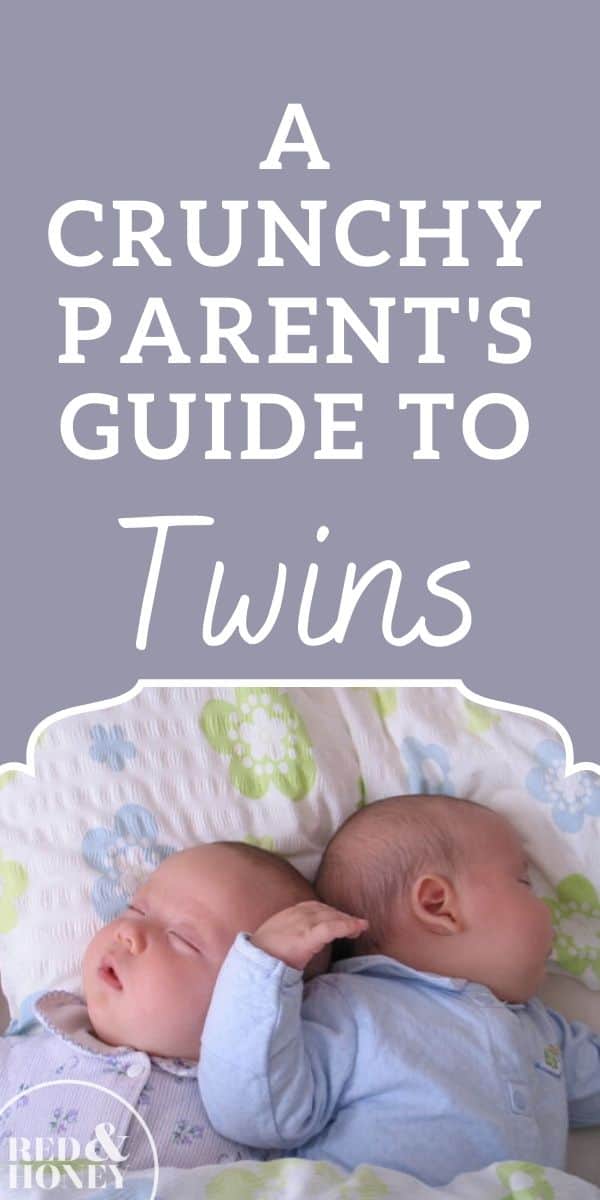 A Crunchy Parent's Guide to Twins - Red and Honey
