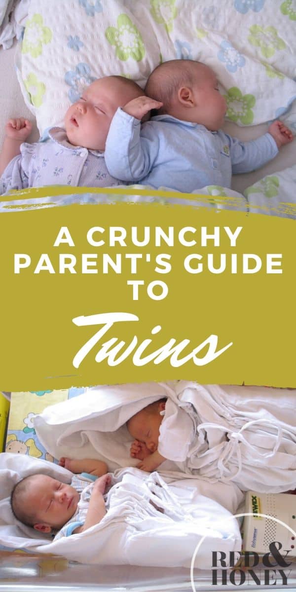 A Crunchy Parent's Guide to Twins - Red and Honey