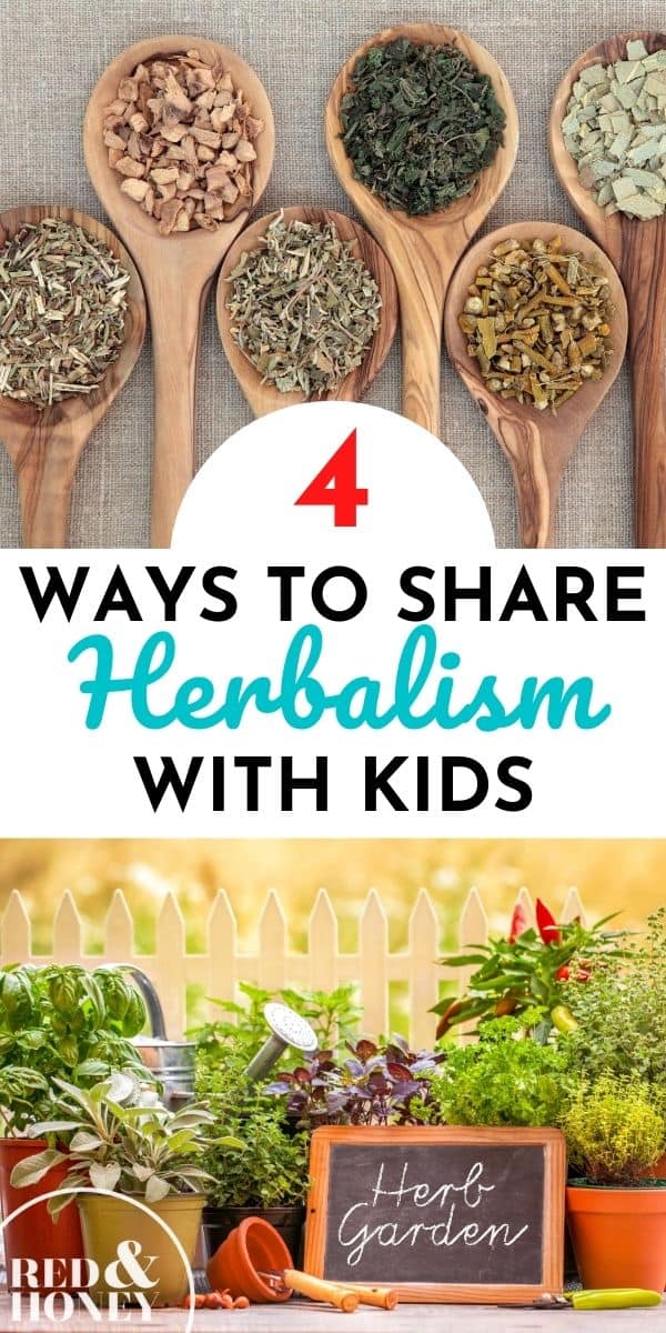 4 Ways to Share Herbalism With Kids - Red and Honey