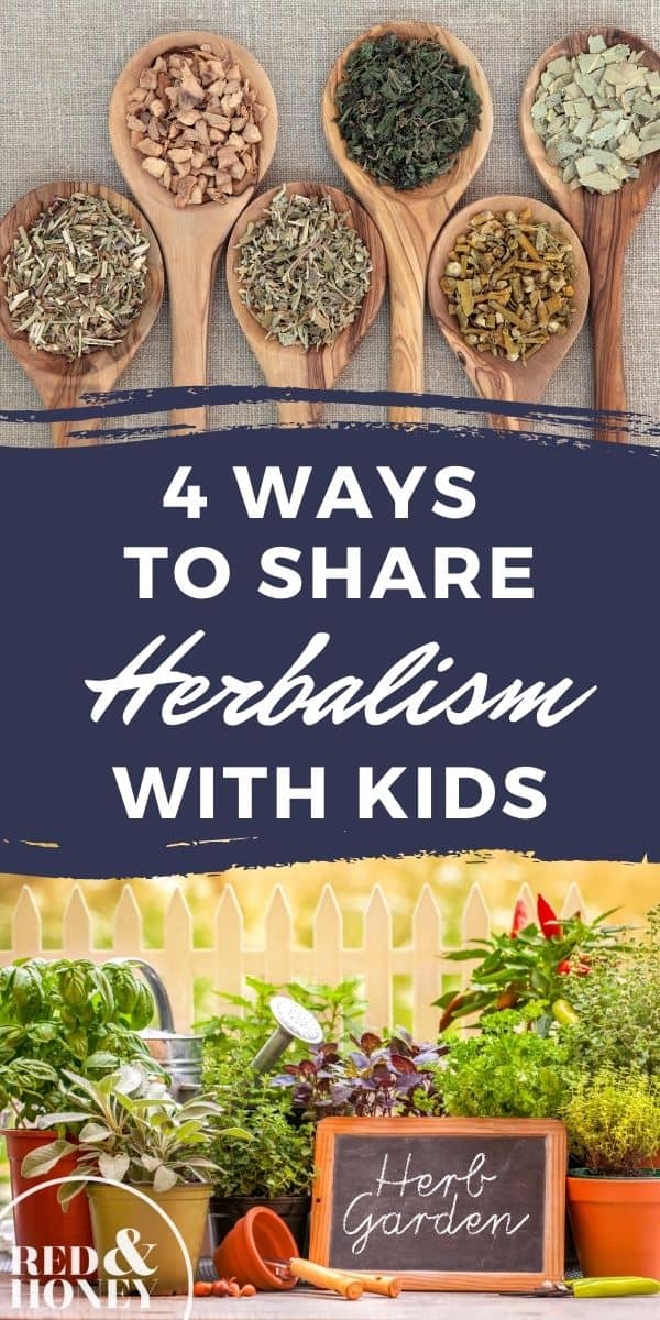 4 Ways to Share Herbalism With Kids - Red and Honey