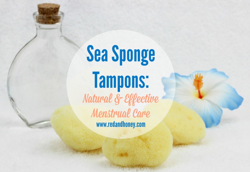 Sea Sponge Tampons Natural Effective Menstrual Care Red and Honey