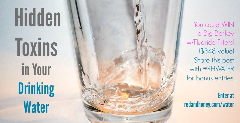 The Hidden Toxins in Your Drinking Water - Red and Honey
