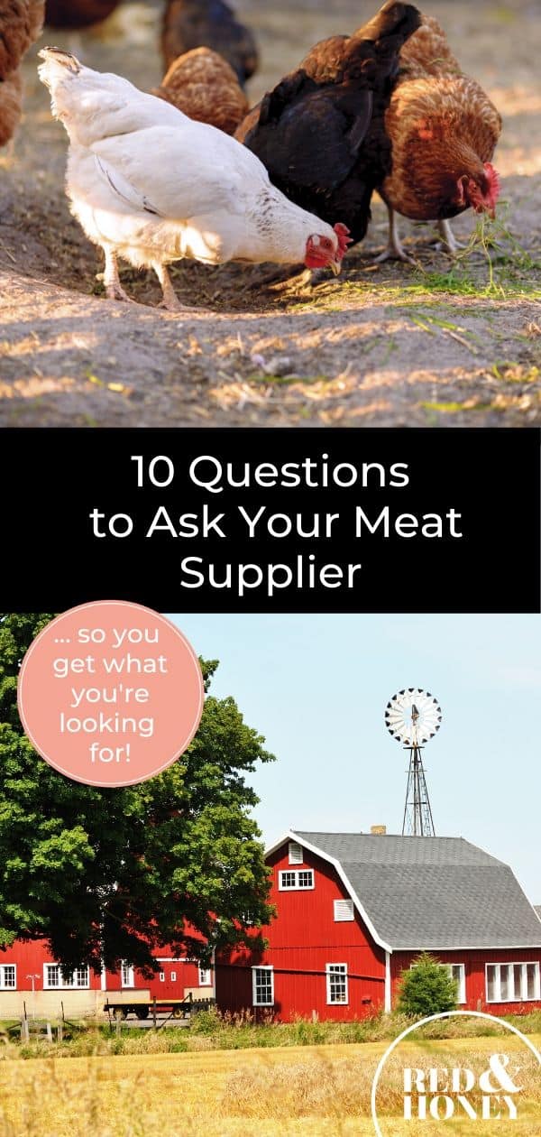10 Questions to Ask Your Meat Supplier - Red and Honey