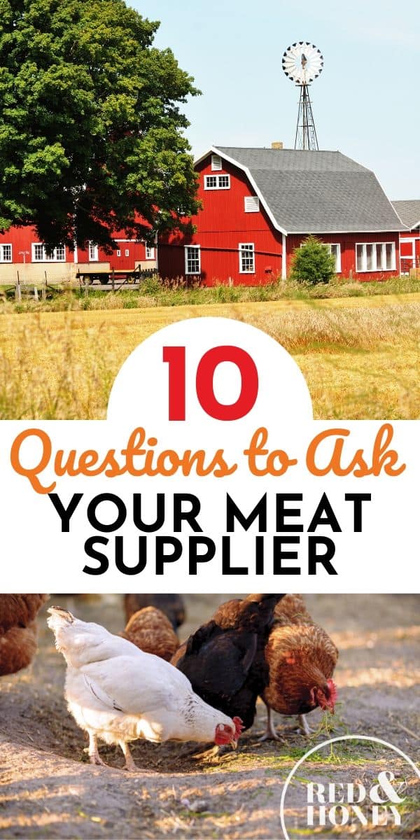 10 Questions to Ask Your Meat Supplier - Red and Honey