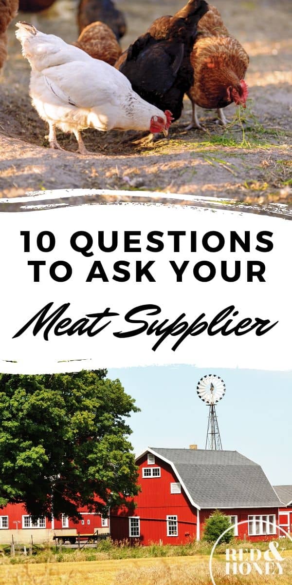 10 Questions to Ask Your Meat Supplier - Red and Honey