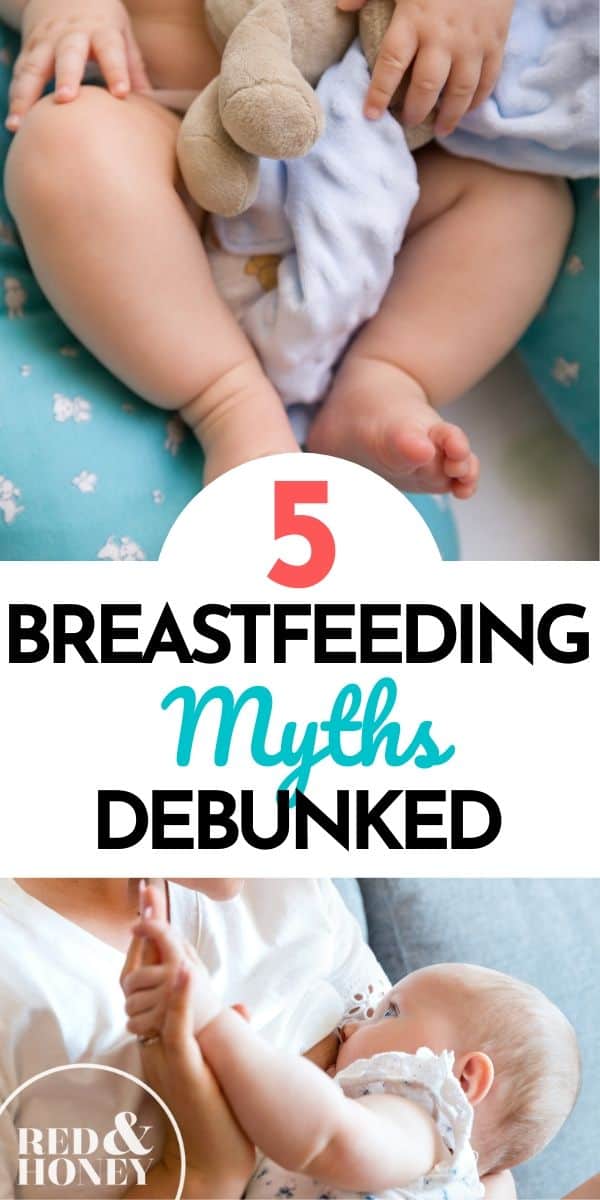 5 Breastfeeding Myths Debunked Red And Honey