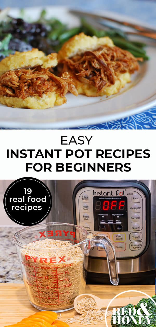 Easy Instant Pot Recipes for Beginners (Real Food Ingredients!)