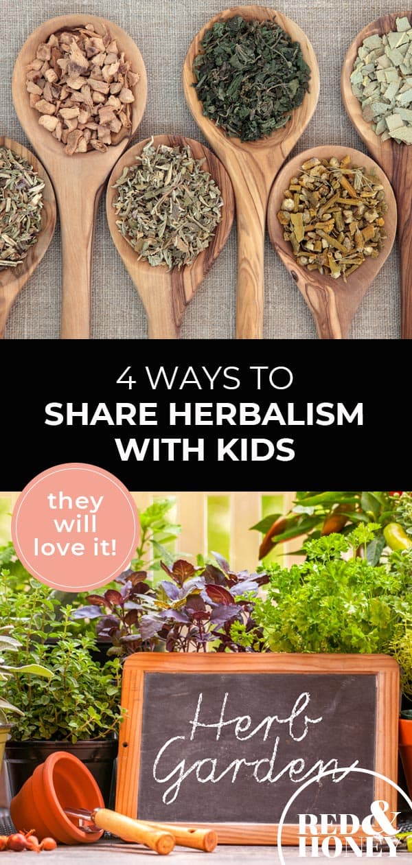4 Ways to Share Herbalism With Kids - Red and Honey