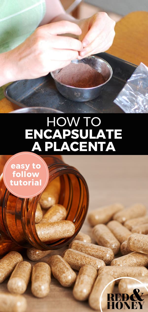 Placenta Encapsulation: A Tutorial - Red and Honey Placenta Encapsulation: A Tutorial - Red and Honey