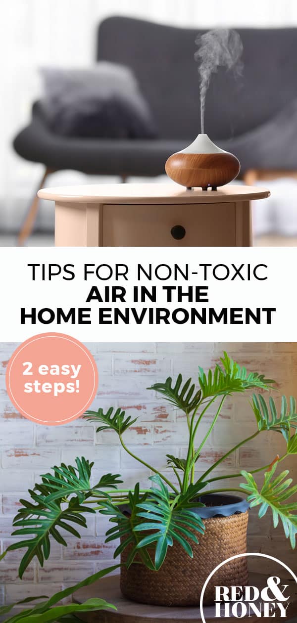 2 Easy Steps Purify Air Naturally in the Home Environment