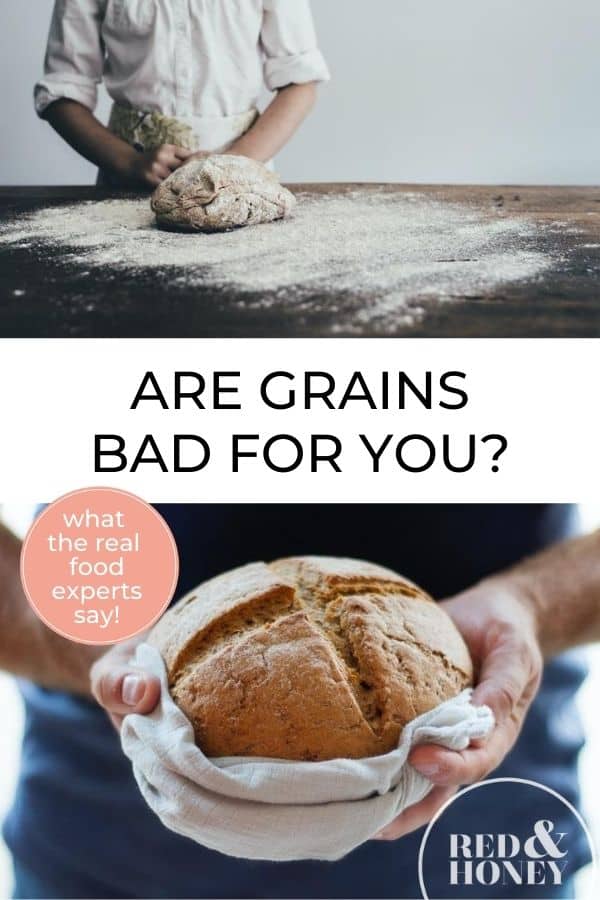 Are Grains Bad for You? (What Do the Real Food Experts Say?) - Red and ...