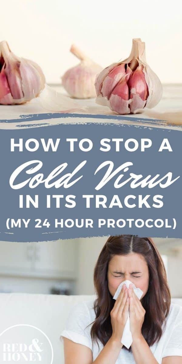 How to Stop a Cold in Its Tracks (My 24-Hour Protocol)