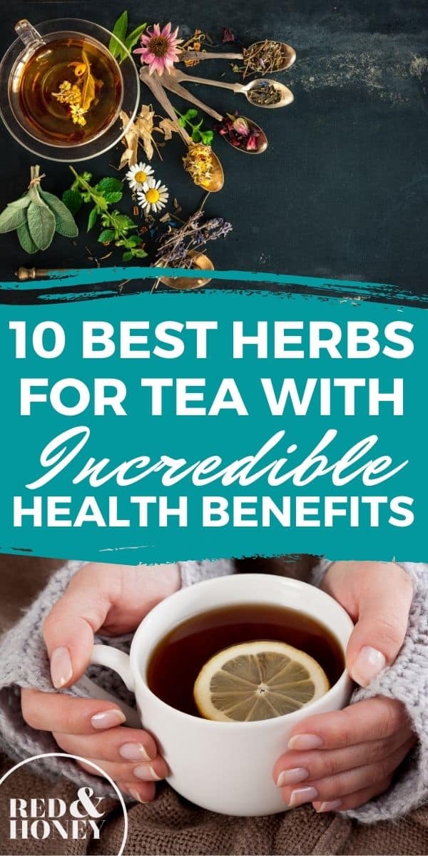 10 Best Herbs For Tea With Incredible Health Benefits
