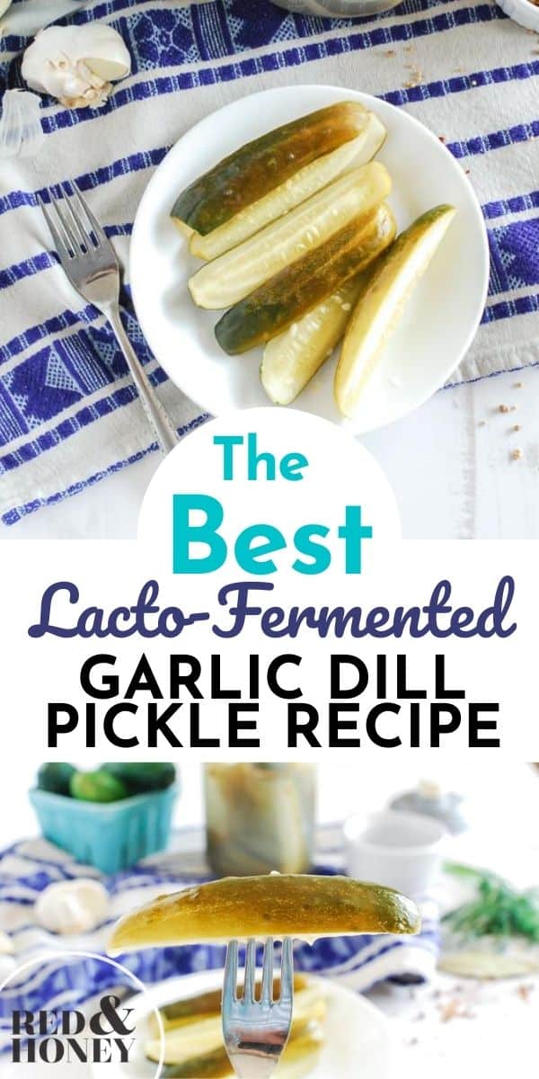 The Best Fermented Garlic Dill Pickles Recipe - Red and Honey