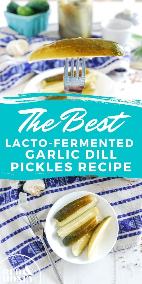 The Best Fermented Garlic Dill Pickles Recipe - Red and Honey